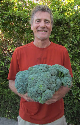 Broccoli, Steve's Select Tender Early Green | Siskiyou Seeds