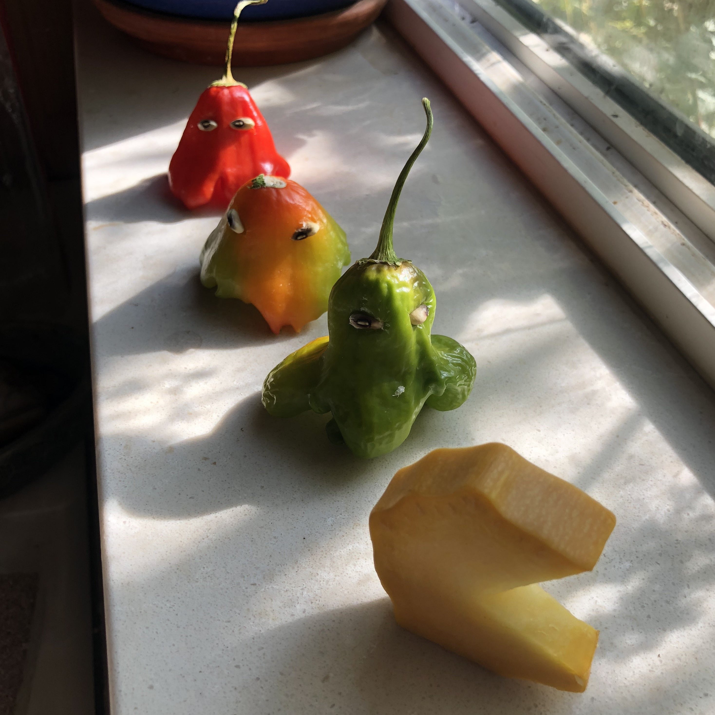 Pepper, Nepali | Siskiyou Seeds
