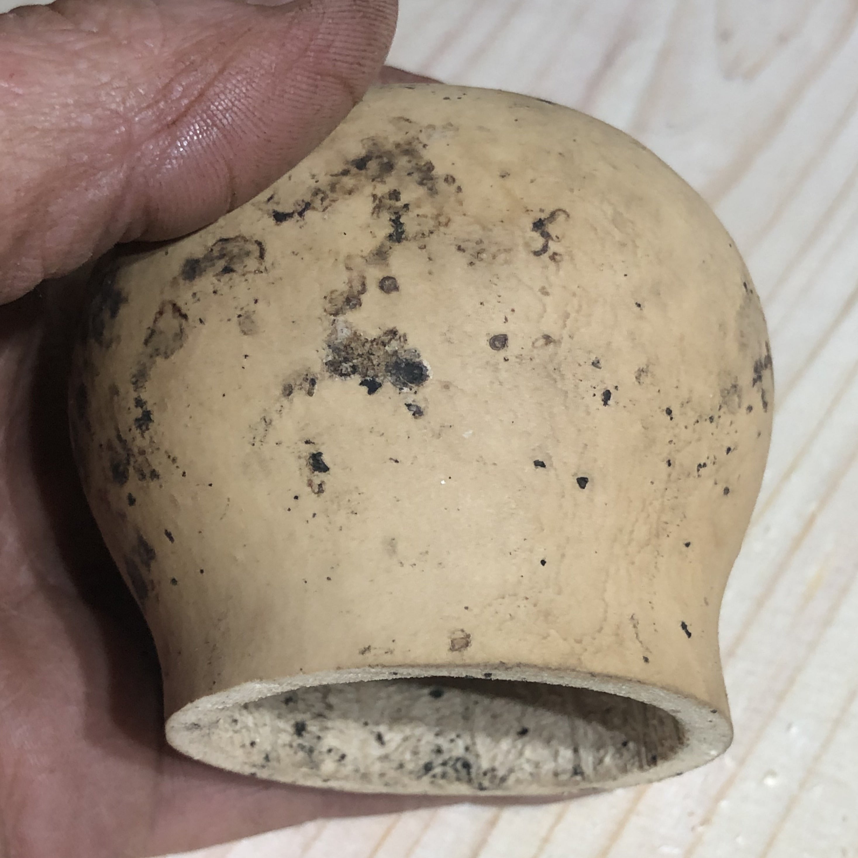 Gourd, Peyote Rattle | Siskiyou Seeds