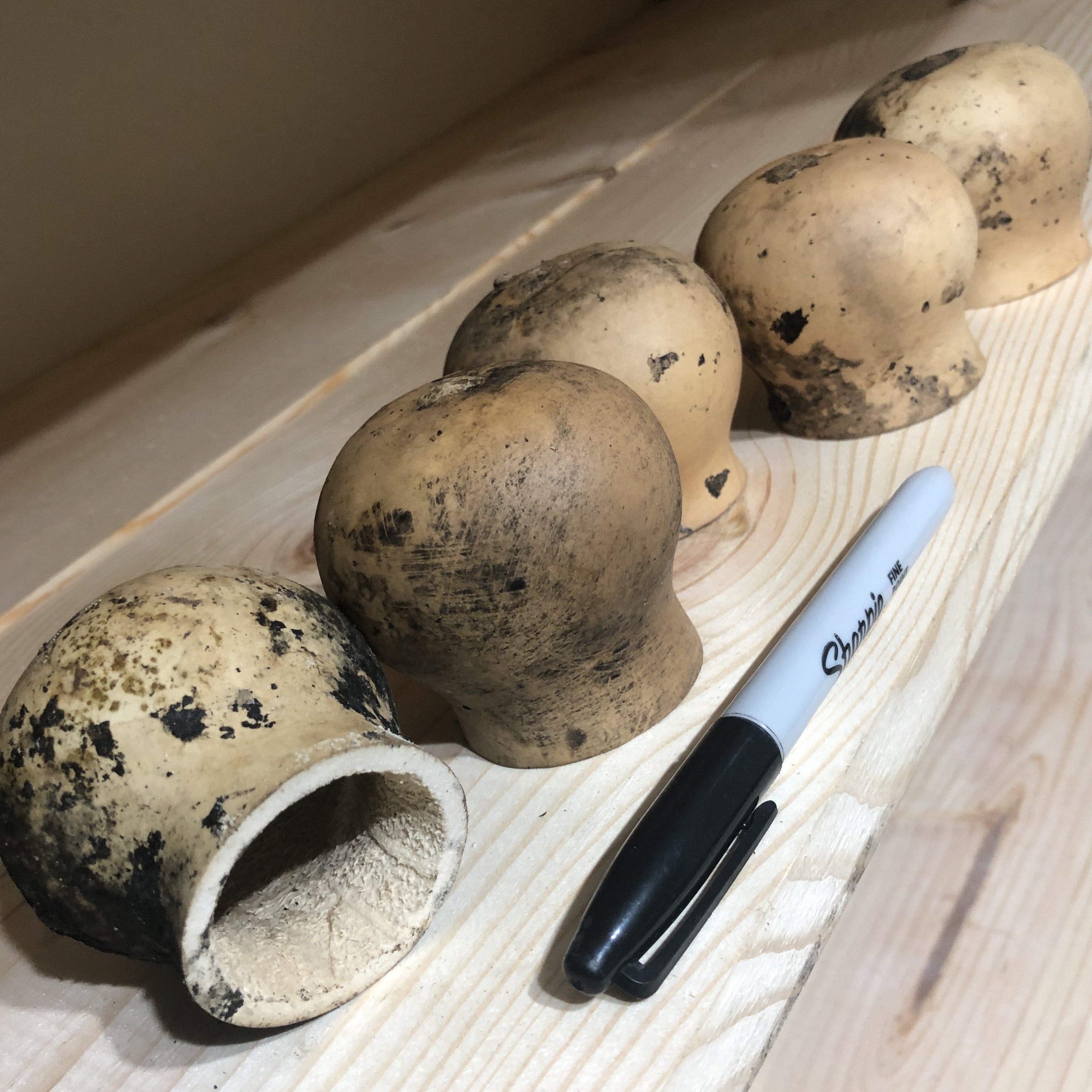 Gourd, Peyote Rattle | Siskiyou Seeds