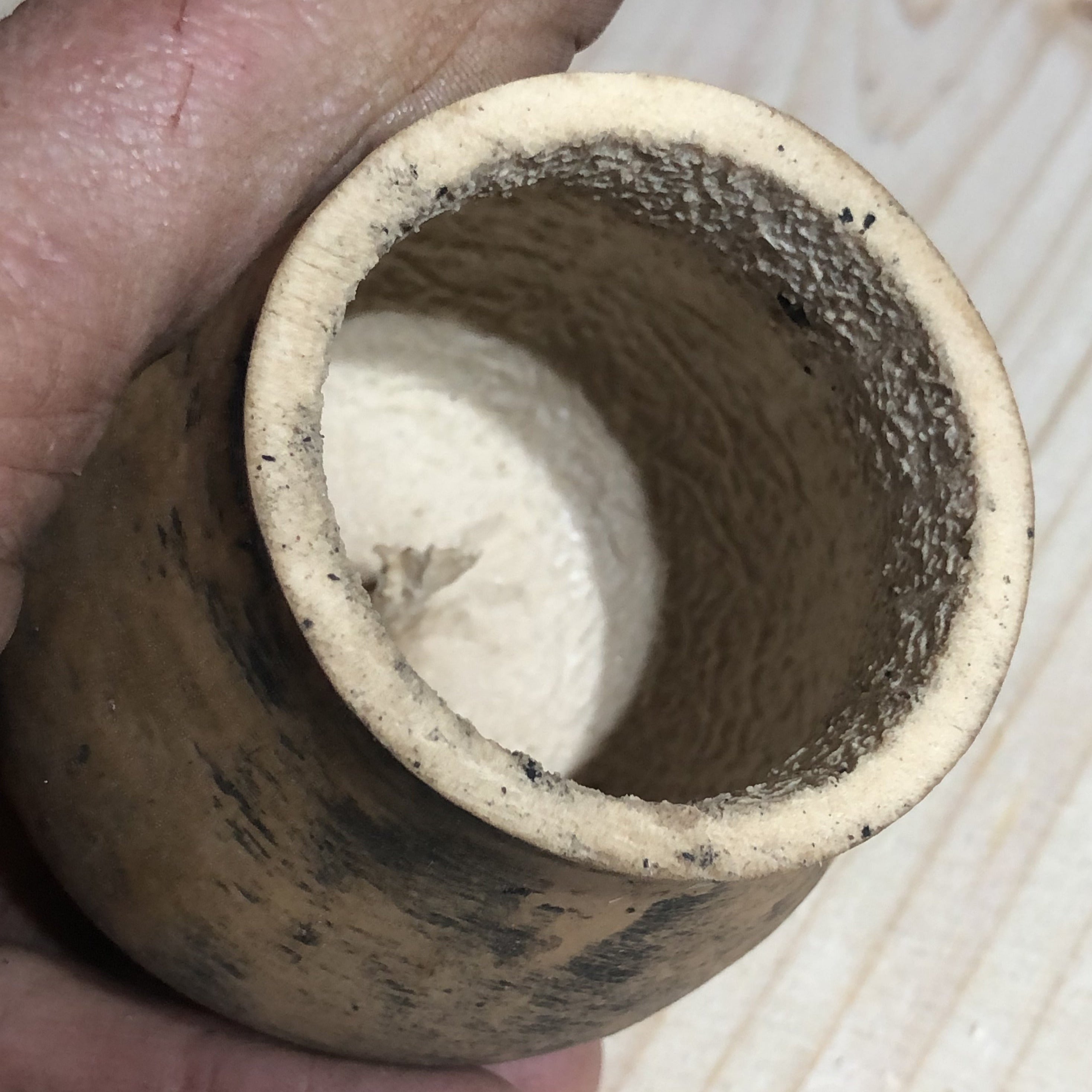 Gourd, Peyote Rattle | Siskiyou Seeds