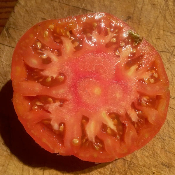 Tomato, Polish Giant | Siskiyou Seeds